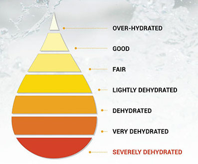 Hydration – A Doable Step To Beat The Heat – Dr Renu Madan